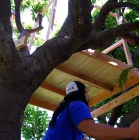 Treehouse Safety Tips