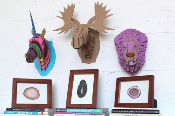 DIY Kits from Darby Smart