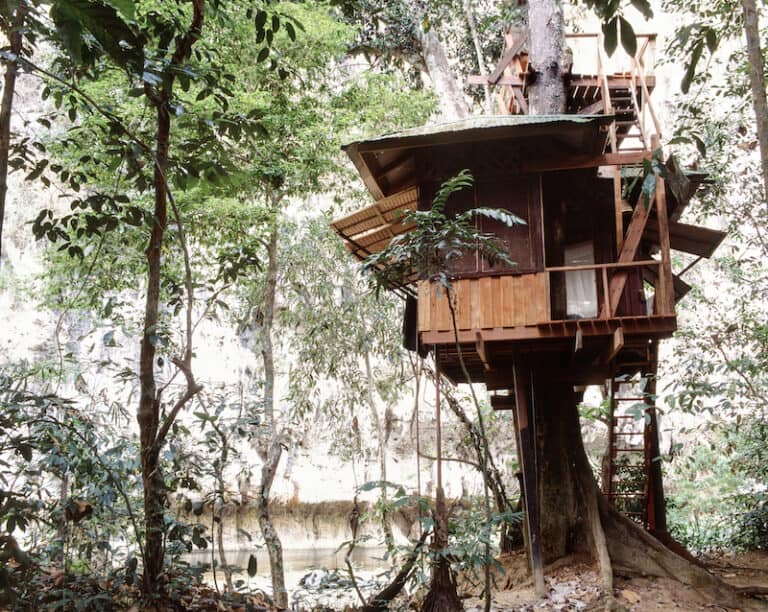 50 Kids Treehouse Designs