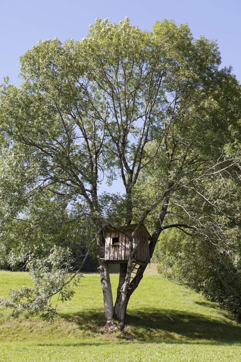 50 Kids Treehouse Designs