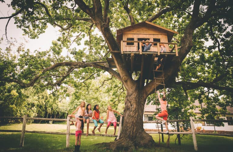 50 Kids Treehouse Designs