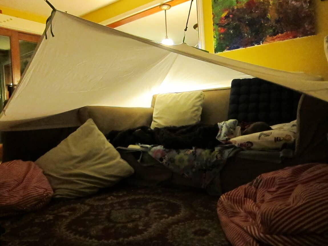 50 Kids Forts