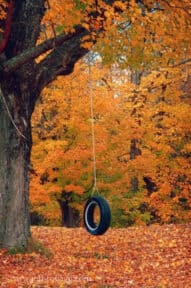26 Playful Tire Swings That You Can Build Yourself