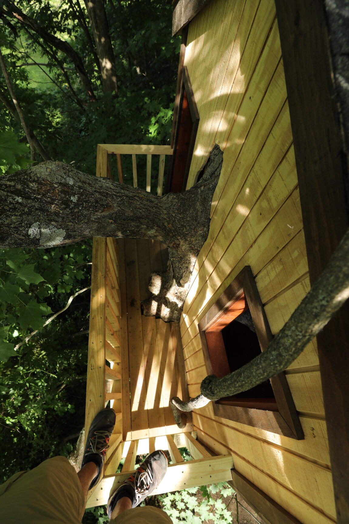 How We Built a Cabin Treehouse | Built by Kids - Empowering Kids to ...