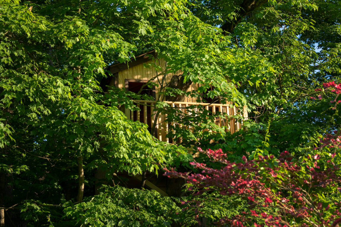 How We Built a Cabin Treehouse | Built by Kids
