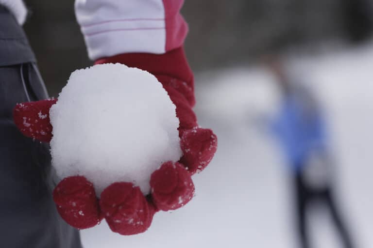 How to Win a Snowball Fight