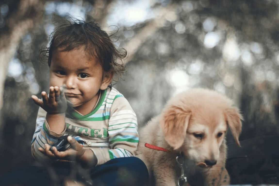 Simple Dog Care Routines Kids Can Help With (At Any Age)