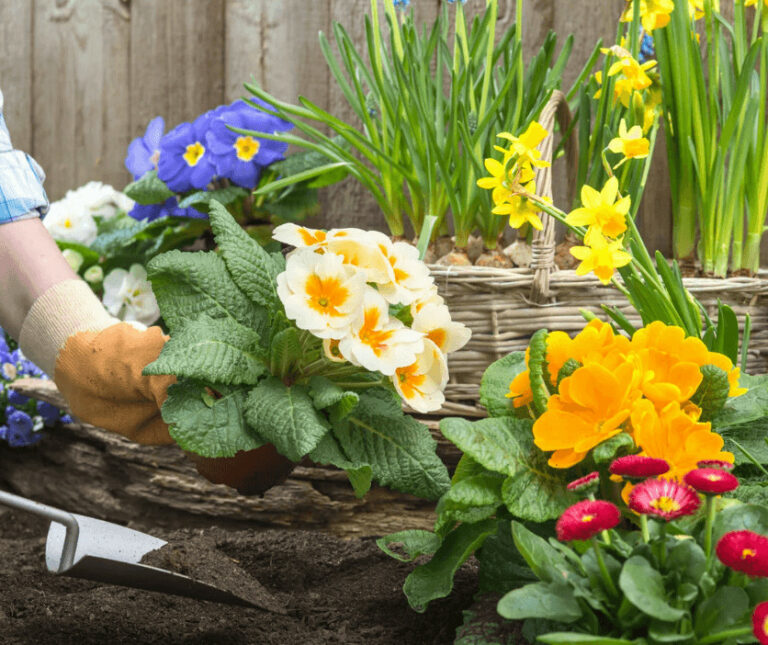 Mindful Gardening Activities Parents and Kids Can Enjoy Together on the ...